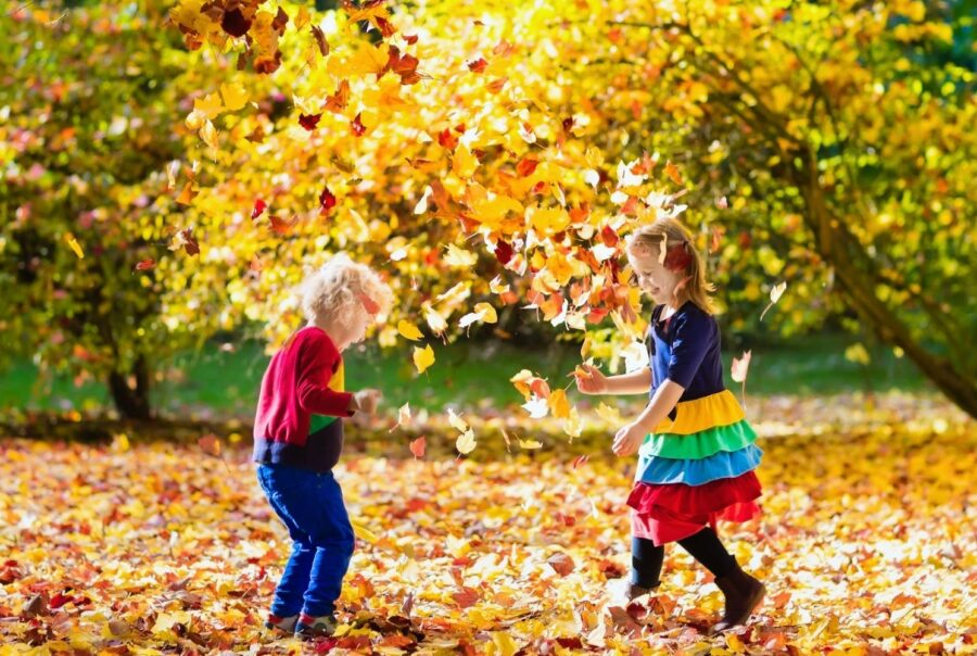 Being Human, Being Discerning | Health Unlimited